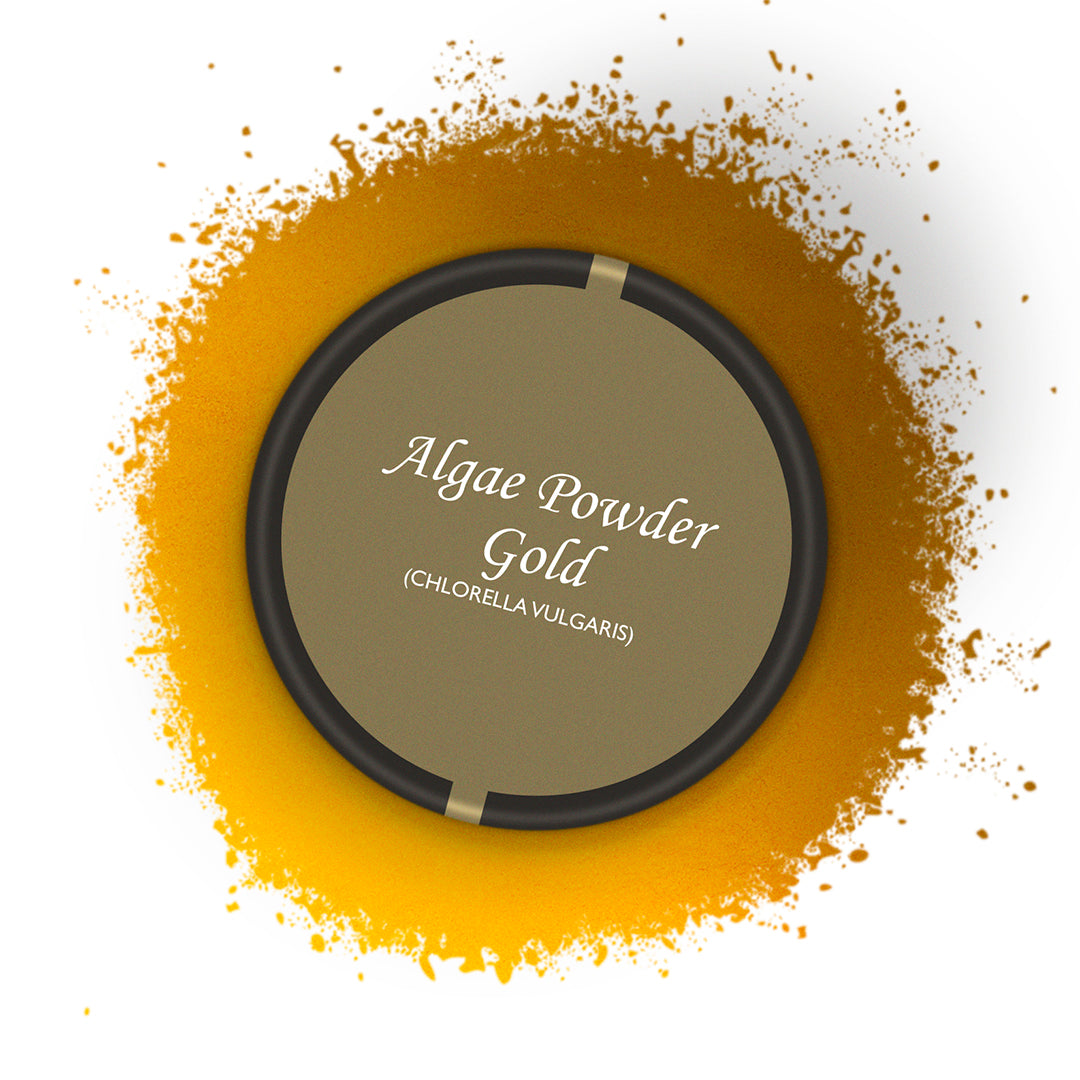 Algae Powder Gold (180g net.) – Koppert Cress Webshop
